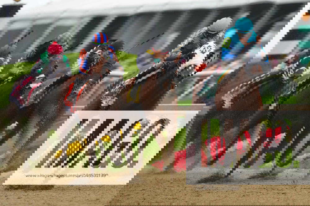 Horse Racing: Black-Eyed Susan May 17, 2024; Baltimore, Maryland, USA ...