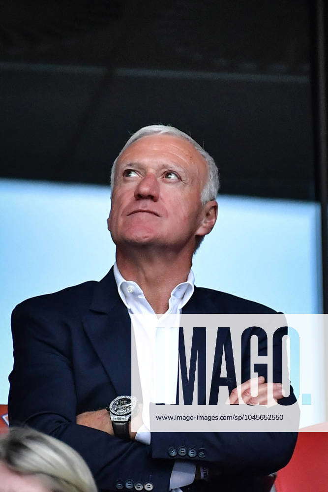 Attendees of the French Cup final - Lyon vs PSG FA French head coach ...