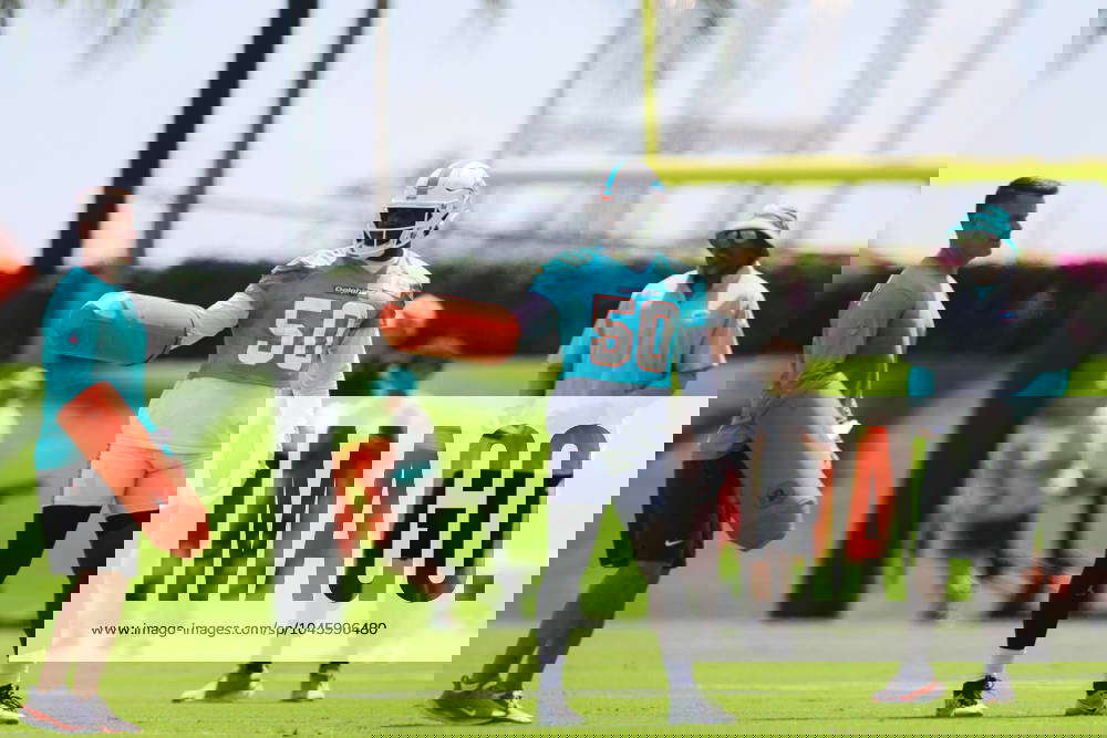 IMAGO - Images & Videos for Media, Sports & Brand.