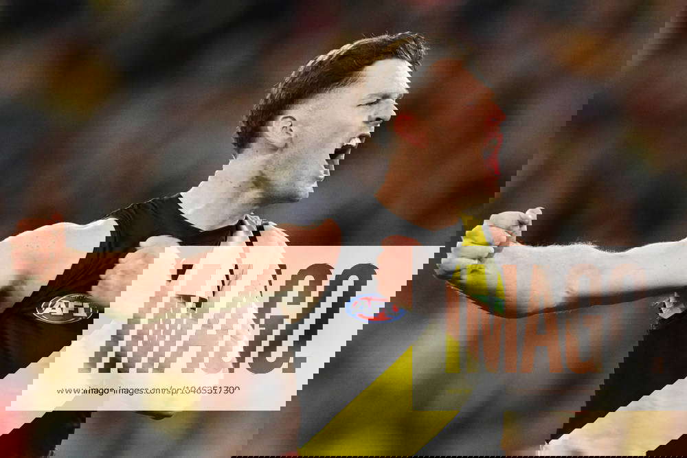 AFL TIGERS HAWKS, Jacob Koschitzke of Richmond celebrates scoring a ...