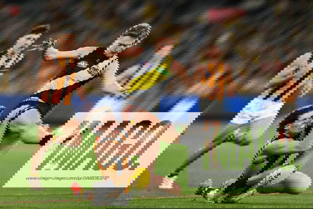 AFL TIGERS HAWKS, Will Day of Hawthorn tackles Hugo Ralphsmith of ...