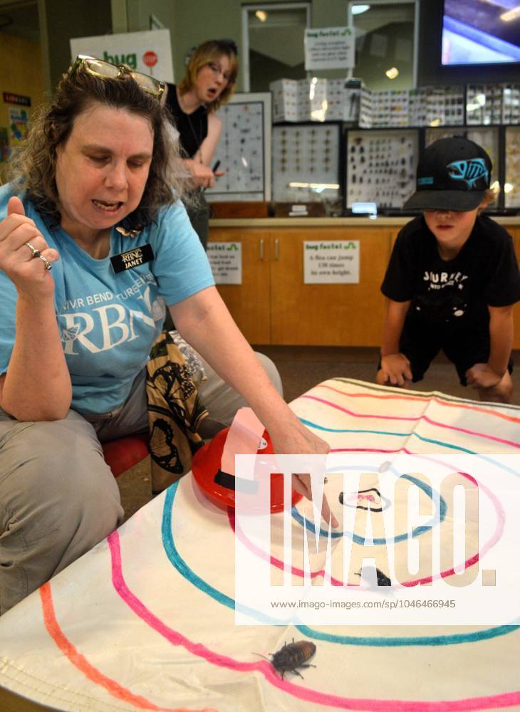 Syndication: Times Record News Janet Oliver directs a cockroach race ...