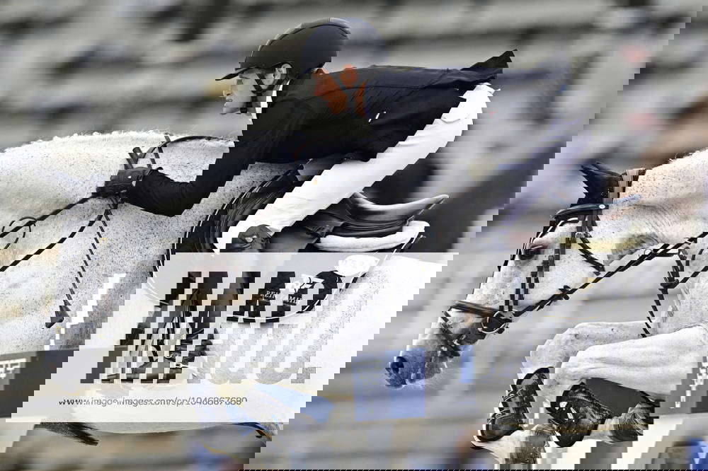 IMAGO - Images & Videos for Media, Sports & Brand.