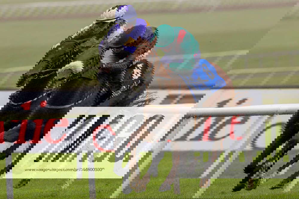 Curragh Racing - Dubai Duty Free Irish Derby Festival, The Curragh ...