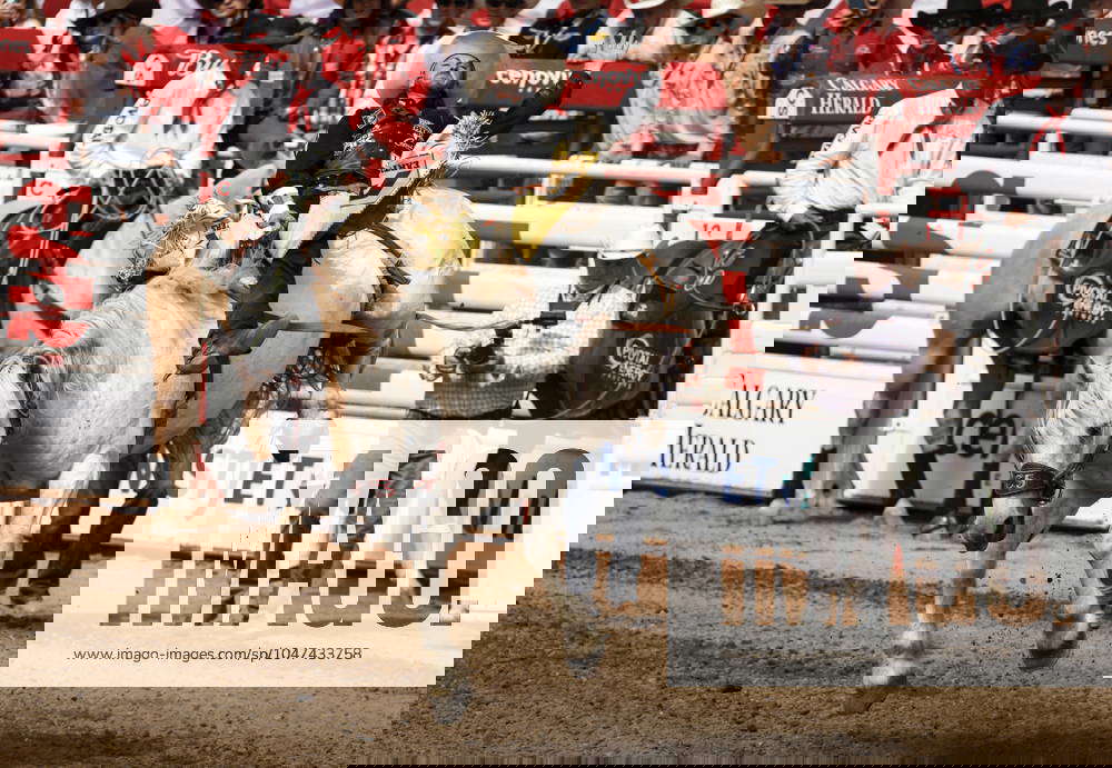 Calgary, Ab, CANADA: RC Landingham, of Castle, Calif., rides Virgil to ...