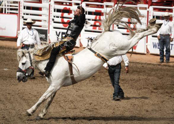 Calgary, Ab, CANADA: RC Landingham, of Castle, Calif., rides Virgil to ...
