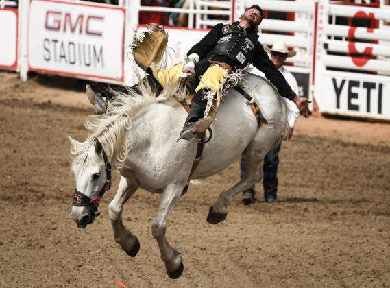 Calgary, Ab, CANADA: RC Landingham, of Castle, Calif., rides Virgil to ...