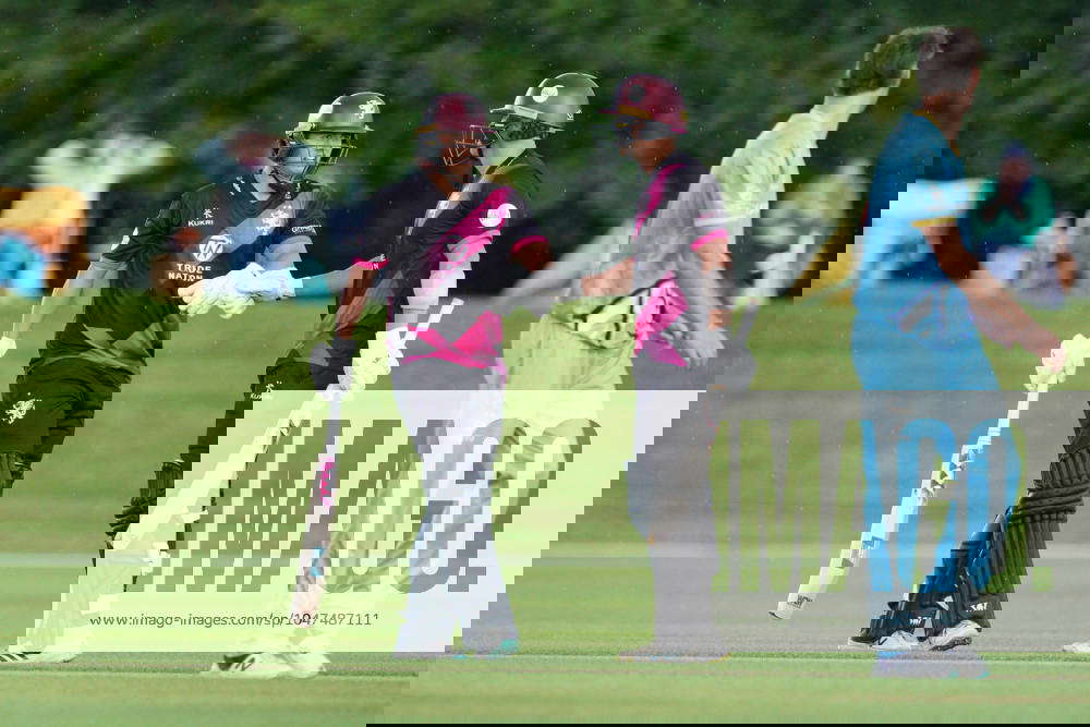 Josh Thomas of Somerset and George Thomas of Somerset during the ECB ...