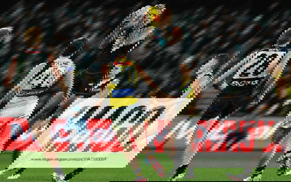 AFL POWER TIGERS, Quinton Narkle of Port Adelaide marks in front of ...