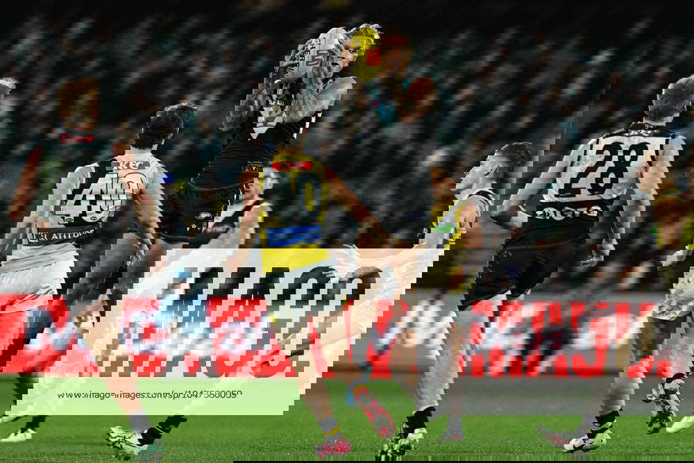 AFL POWER TIGERS, Quinton Narkle of Port Adelaide marks in front of ...