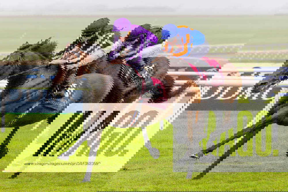 Curragh Racing, Curragh Racecourse, Co. Kildare 20 7 2024 Ryan Moore on ...