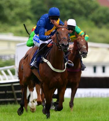 Newton Abbot Races, Newton Abbot, UK - 17 July 2023 RyderÕs Rock ridden ...