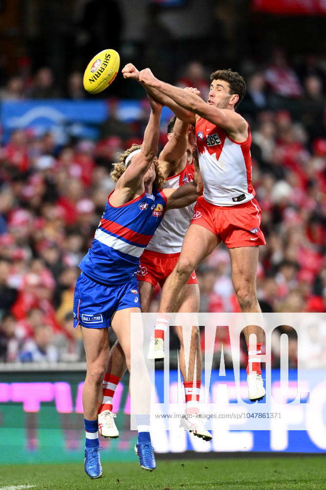 AFL SWANS BULLDOGS, Robbie Fox of the Sydney Swans contests the ball ...