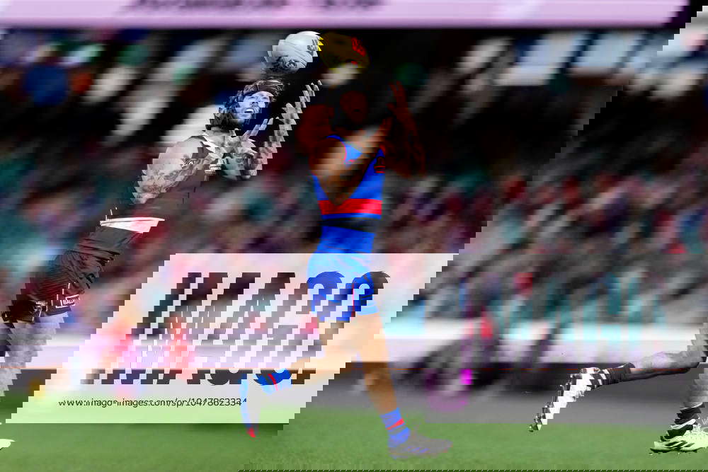 AFL SWANS BULLDOGS, Caleb Daniel of the Western Bulldogs takes a mark ...