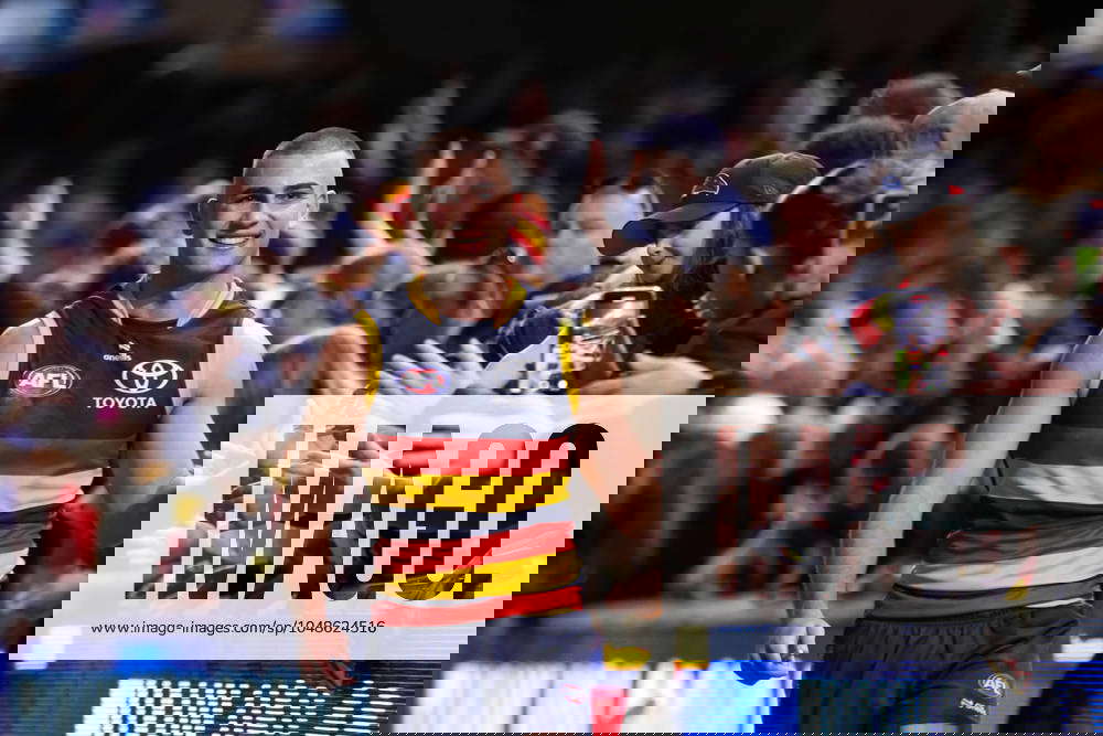 AFL CROWS BULLDOGS, Josh Rachele of the Crows after victory during the ...