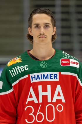 Christian Hanke 25 Augsburger Panther, Team and portrait pictures ...