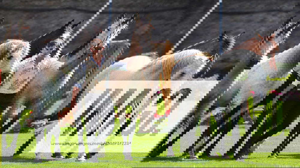 Dublin Horse Show Ben Atkinson demonstration in the Main Arena during ...