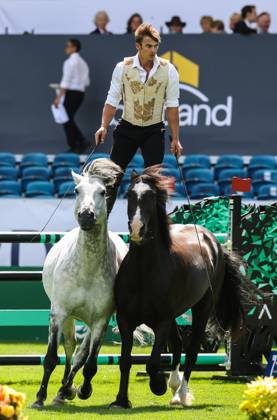 Dublin Horse Show Ben Atkinson demonstration in the Main Arena during ...