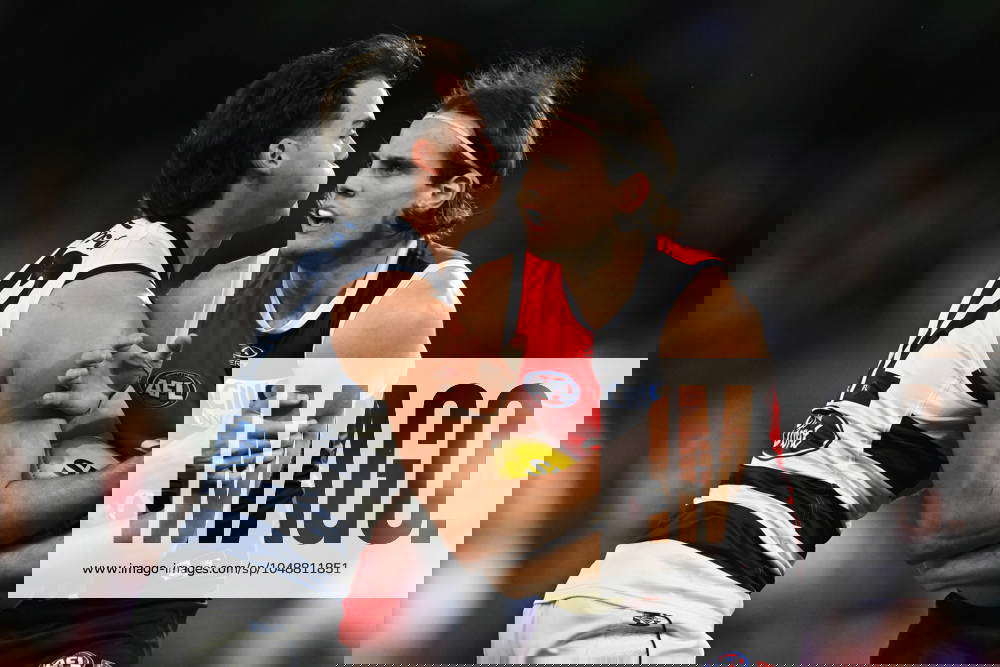 AFL SAINTS CATS, Hunter Clark of the Saints marks the ball during the AFL Round 23 match between