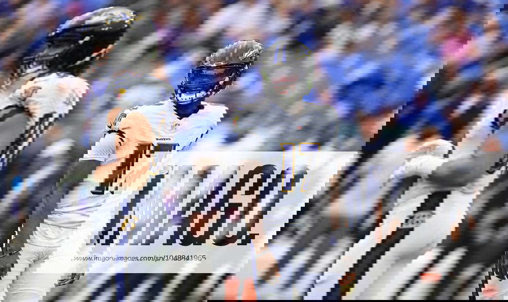 Baltimore Ravens quarterback Josh Johnson warms up before facing the ...