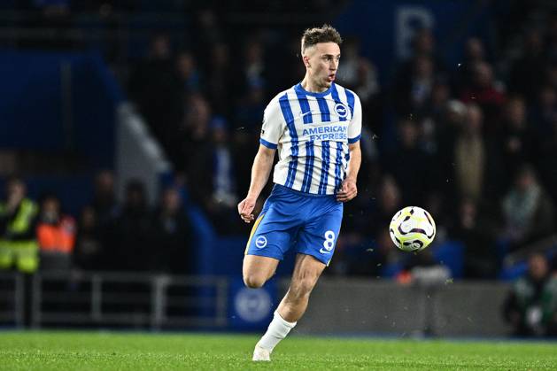 BRIGHTON, ENGLAND - OCTOBER 6: Brajan Gruda, Fabian Hurzeler of ...