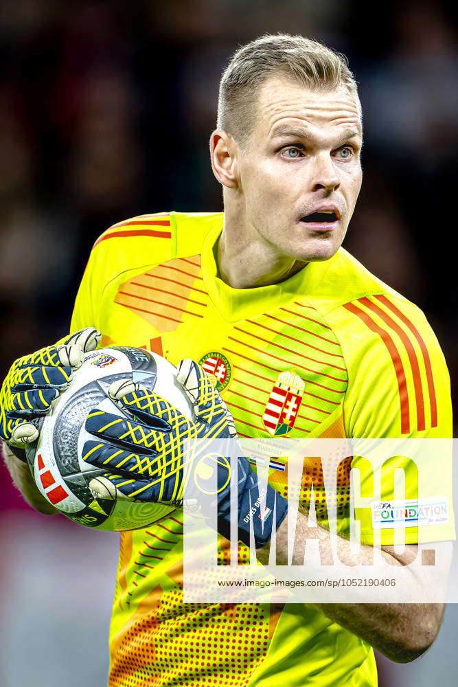 Hungary goalkeeper Denes Dibusz, during the match Hungary Netherlands ...