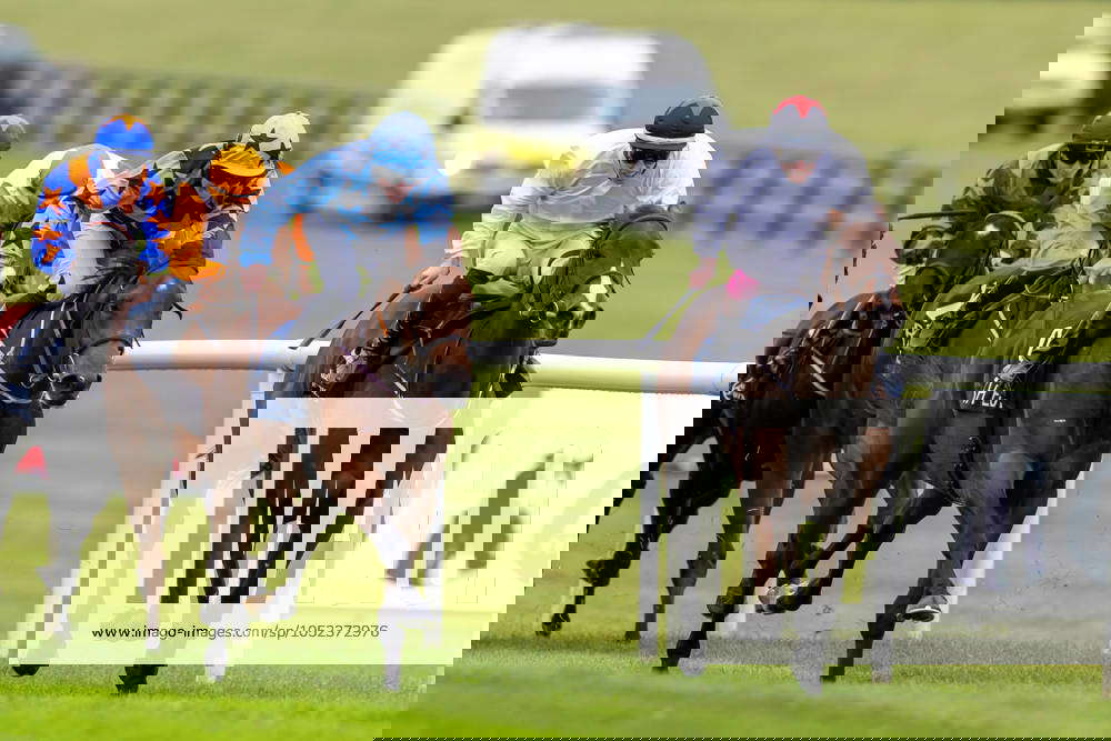 PRESS RELEASE NO REPRODUCTION