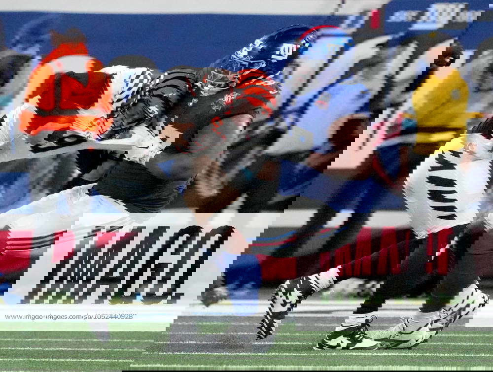 NFL, American Football Herren, USA Cincinnati Bengals at New York ...