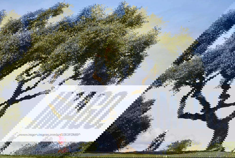 Estrella Damm N.A. Andalucia Masters 2024 Jon Rahm of Spain plays his ...