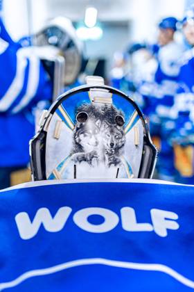 The mask of goalkeeper Tim Wolf 1 EV Zug 13 11 2024 National League ...