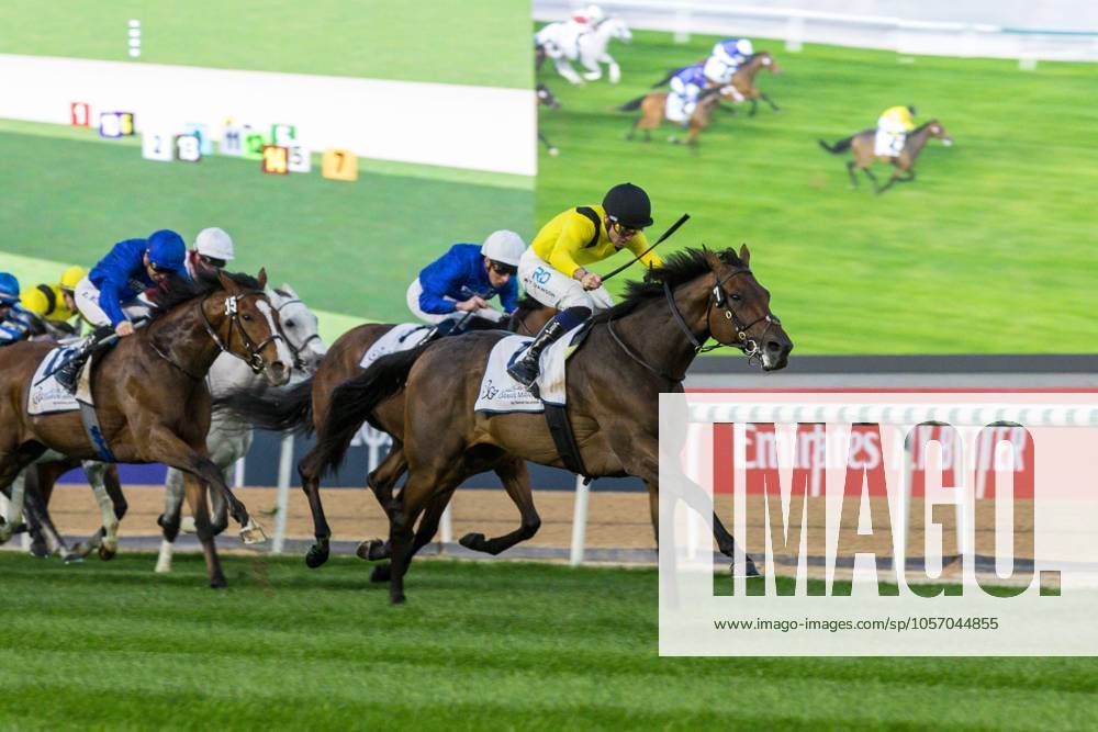 Flat racing turf and dirt surfaces, 8 Thoroughbred races. ASSAASSI (FR ...