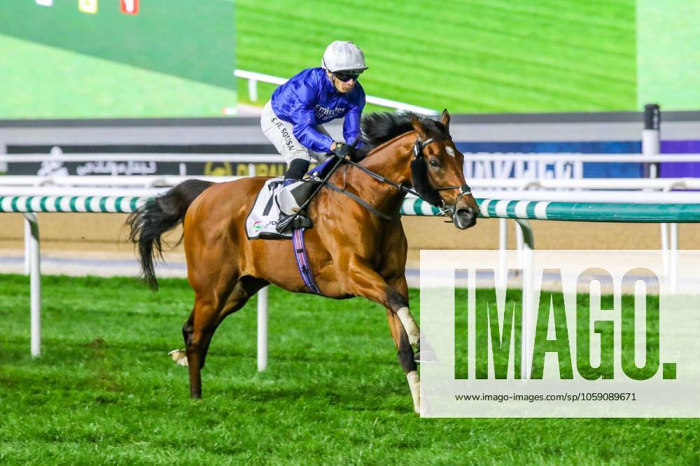 Flat racing turf and dirt surfaces, 8 Thoroughbred races. DUBAI FUTURE ...