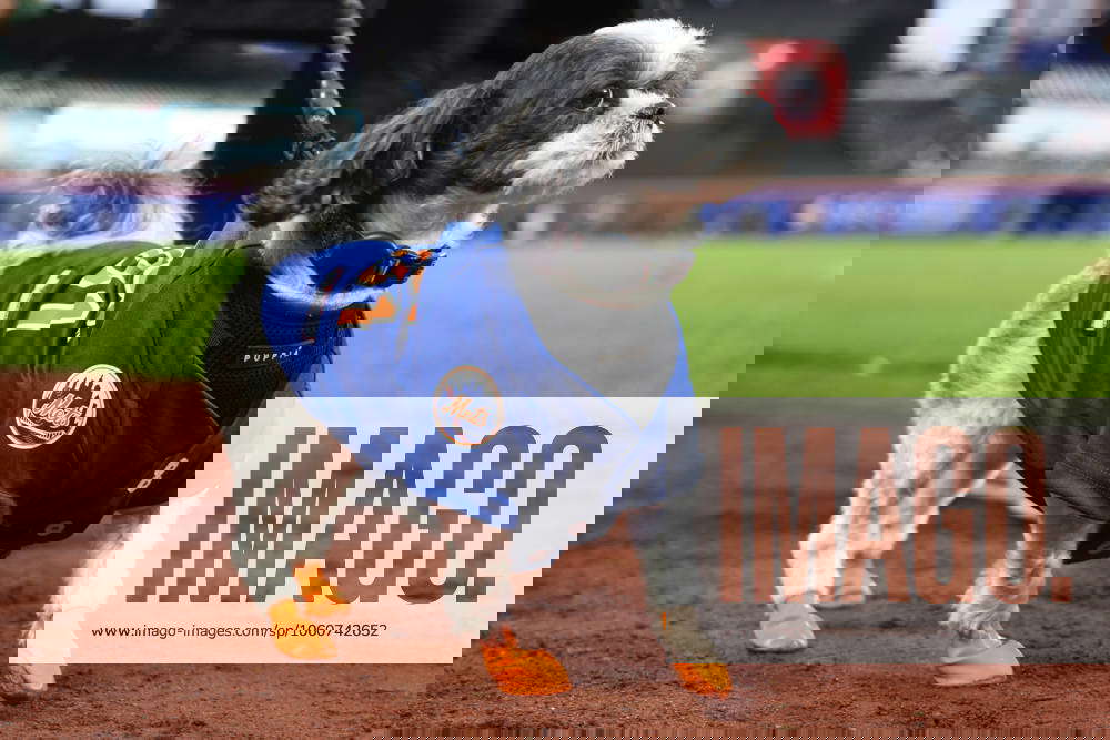 MLB, Baseball Herren, USA Miami Marlins Vs. New York Mets Fans and ...