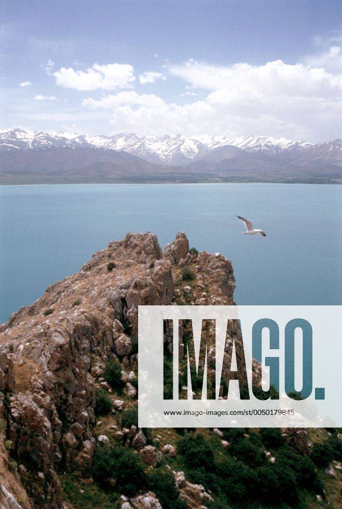 Fliegende Möwe über einem Felsen auf der Insel -Ahtamar- im