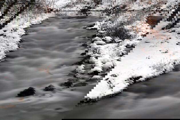 Der Fluss Ilm in Thüringen mit verschneiten Ufern wirkt durch ...