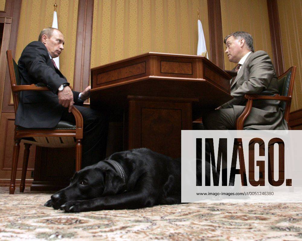 Staatspräsident Wladimir Putin und Vladimir Yakovlev mit Putins ...