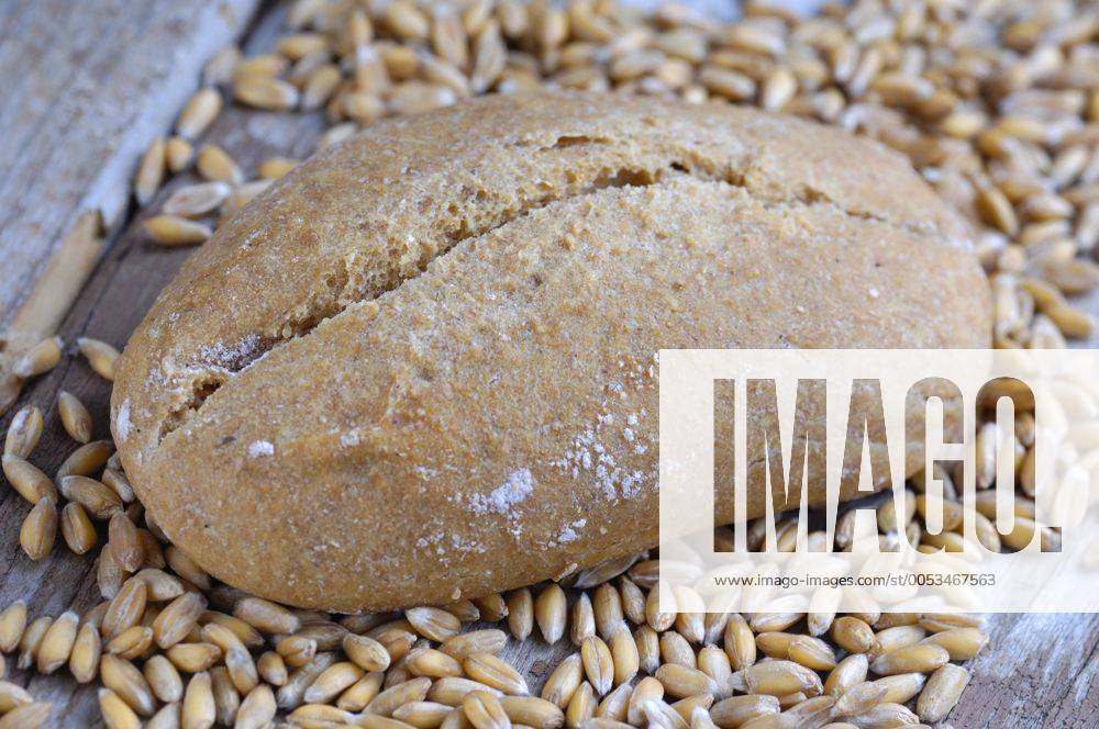 Dinkel, Spelz (Triticum spelta), Dinkelbroetchen und Koerner spelt ...