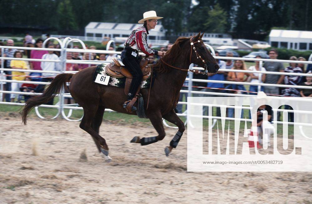 Westernreiter, Pole bending. western riding, pole bending