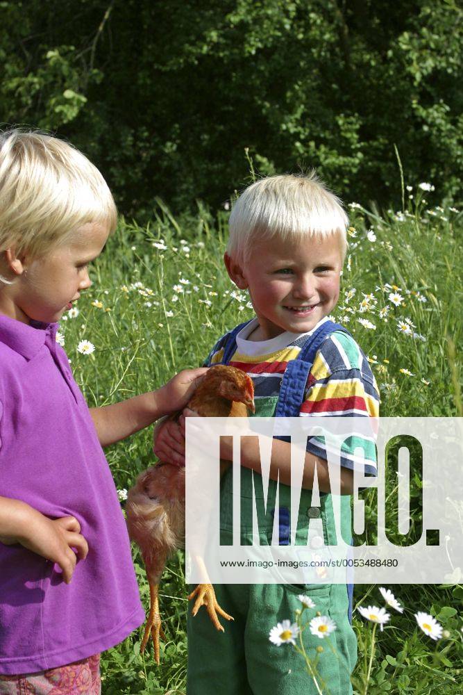 Zwei Kinder mit Huhn two children with hen