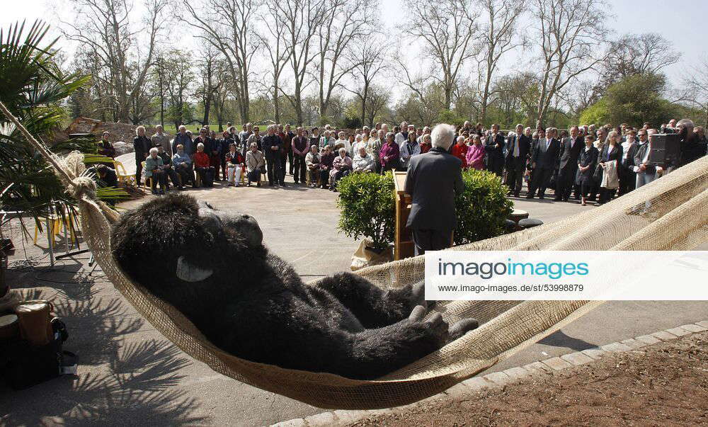 Spatenstich Neubau Affengehege mit Affenhaus, Zoologisch-botanischer ...