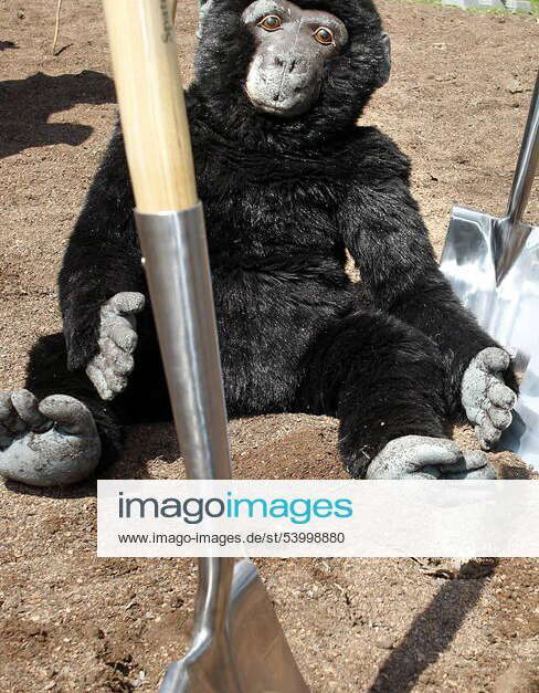 Spatenstich Neubau Affengehege mit Affenhaus, Zoologisch-botanischer ...