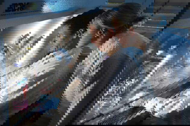 Biotechnologie Labor, Sterilbank, Zellkulturbank. Ein Mitarbeiter pipettiert ein Zellkulturmedium