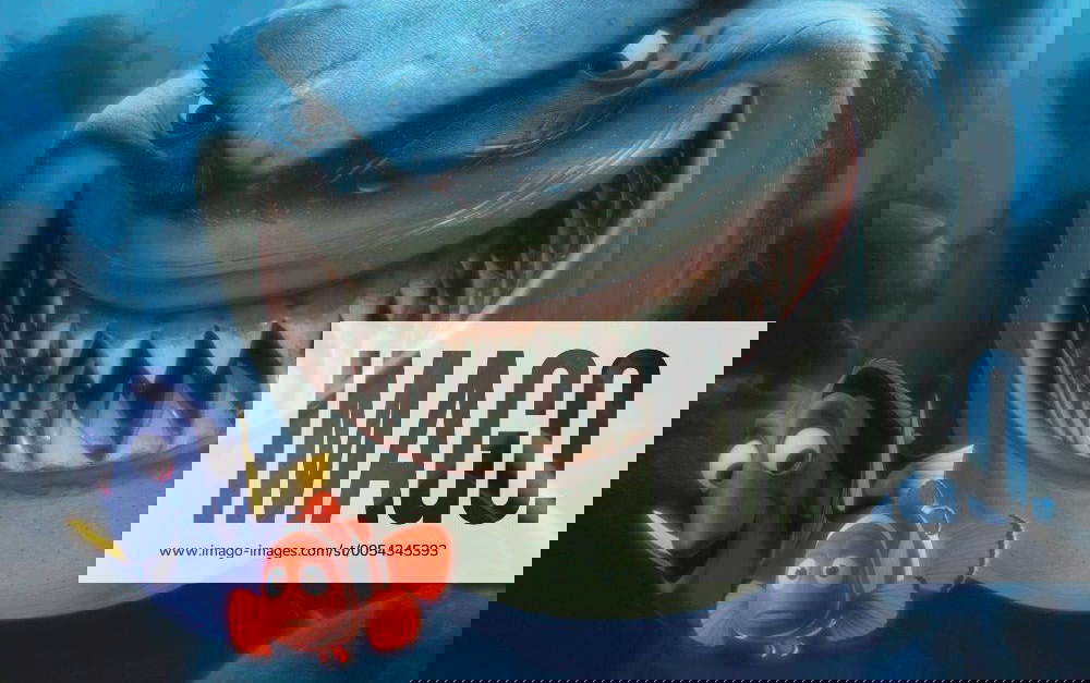 KPA61702 FINDET NEMO Finding Nemo USA 2003 Lee Unkrich, Andrew Stanton ...