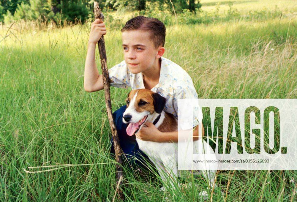 Willie Morris My Dog Skip