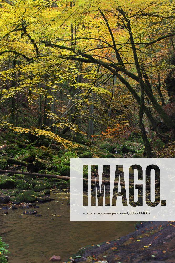 Monbachtal im Herbst, Deutschland, Baden-Wuerttemberg, Schwarzwald ...