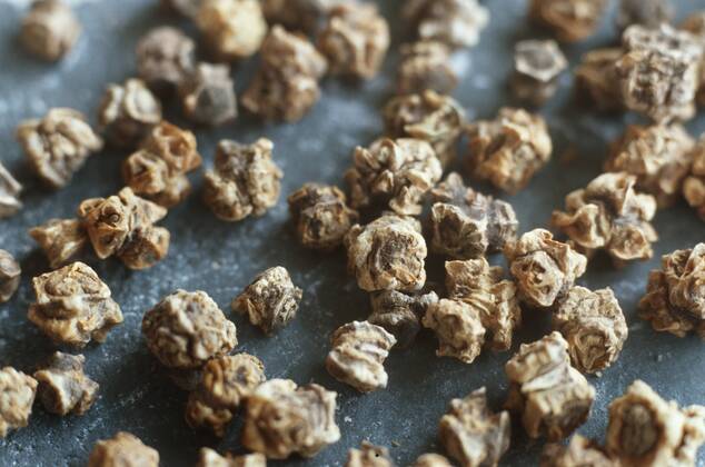 Mangold, Blatt-Mangold, Blattmangold, Beisskohl, Beiss-Kohl, Mangold ...