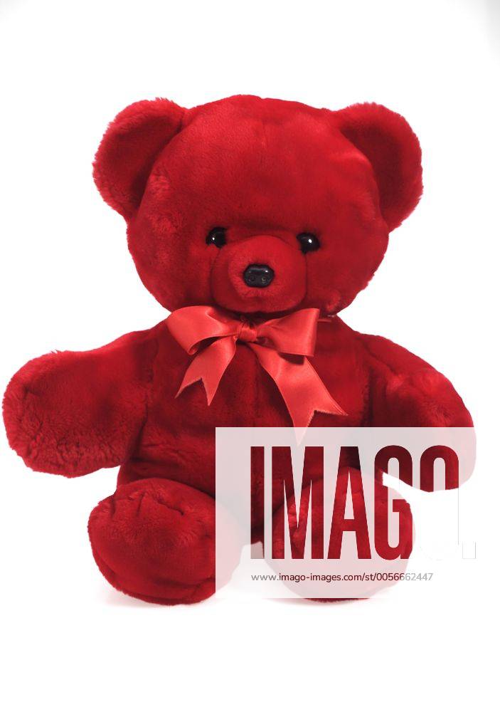 RED TEDDY BEAR AGAINST WHITE