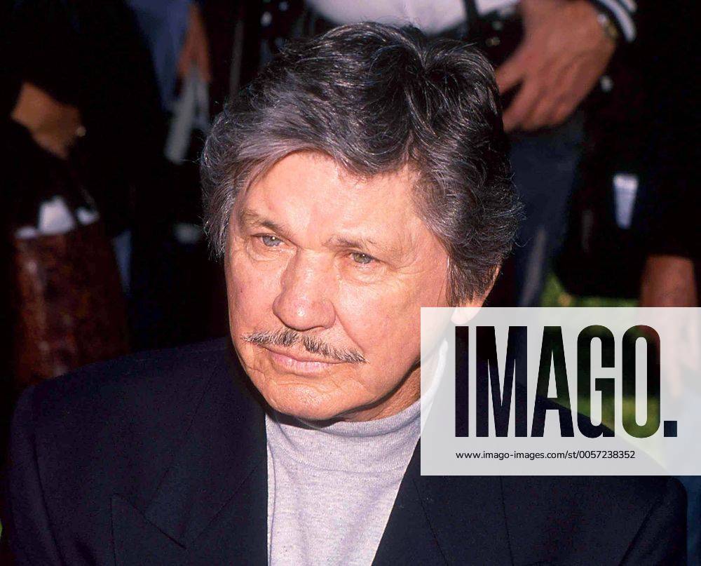Charles Bronson Actor Mustache