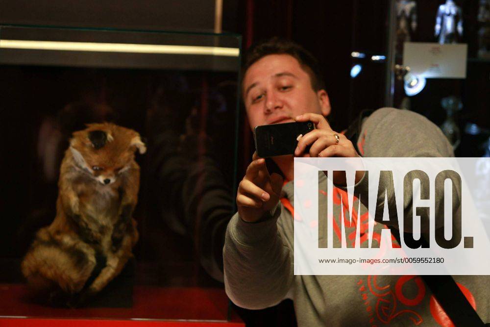 20 april, 2013. Russia, Moscow. Exhibition opened at the Museum of ...