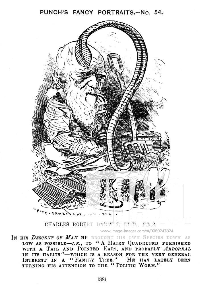 Punch Cartoons - Victoria 1841-1901 Punch s Fancy Portraits - no. 54 ...
